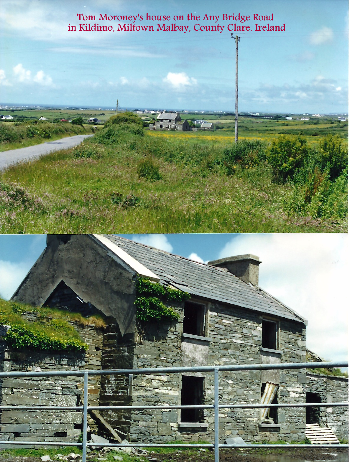 Moroney Family of Miltown Malbay, Co. Clare, Eire: THOMAS MORONEY 1878-1950