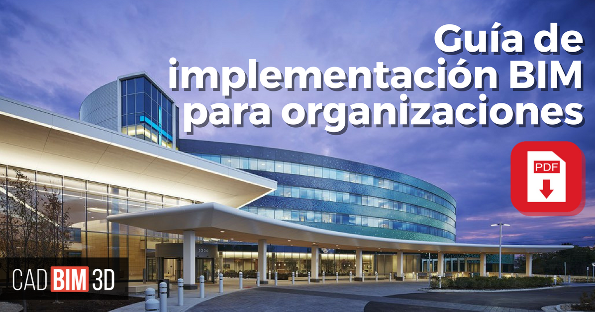 Guía de Implementación BIM para Organizaciones - PDF - cadBIM3D