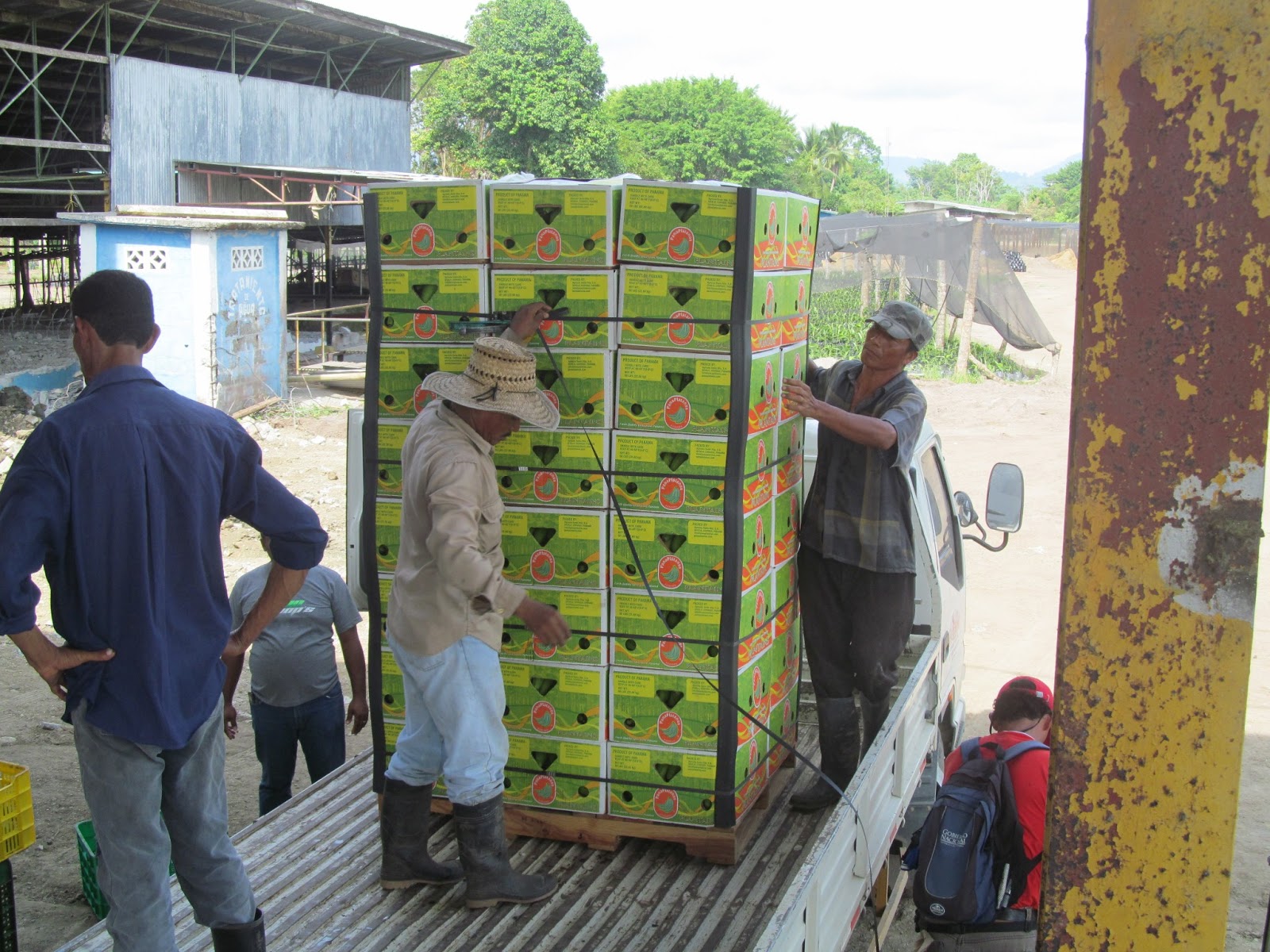ASTBARU: PRIMER EMBARQUE DE CAJAS PARA EXPORTACION