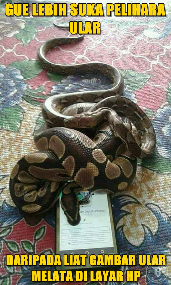 8 Meme 'Ular di Facebook' Ini Sindir Kamu yang Dibodohi Ketik #RAN ...