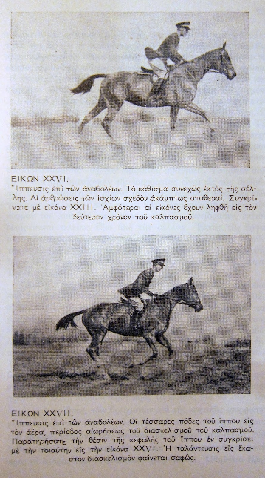ΕΛΛΗΝΙΚΗ ΕΦΙΠΠΗ ΤΟΞΟΒΟΛΙΑ