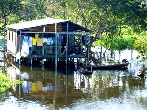 RIBEIRINHO - AMAZÔNIA ACONTECE