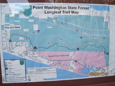 Full Abalone: Side trips: Longleaf Pine Trail