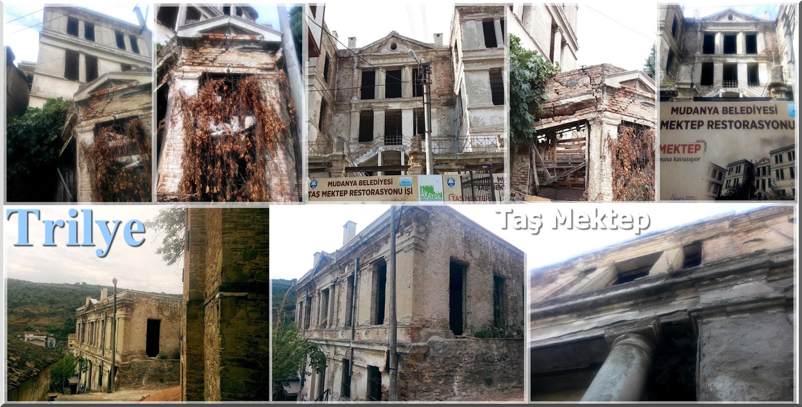 Hiçlikte Bir An: Tirilye-Trilye-Trilya-Zeytinbağı