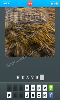 Zoomed In - Photo Word Game Level 192 ~ Doors Geek