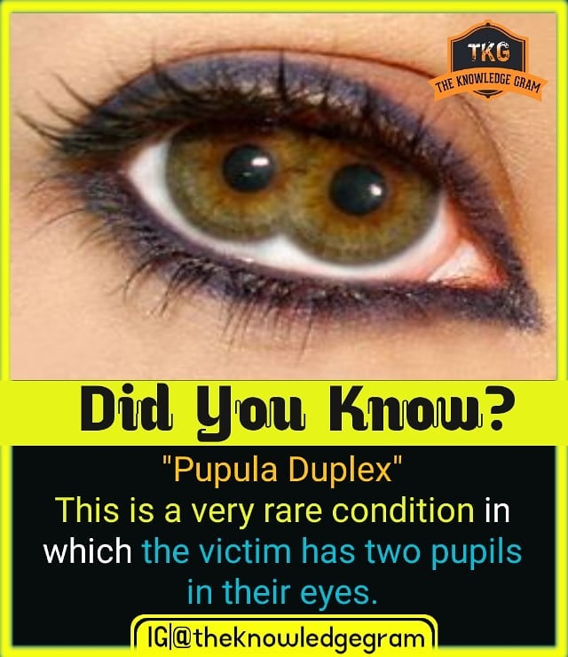Pupula Duplex