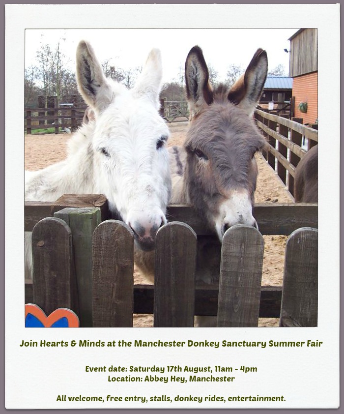 Hearts and Minds: Join Hearts & Minds at the Manchester Donkey ...