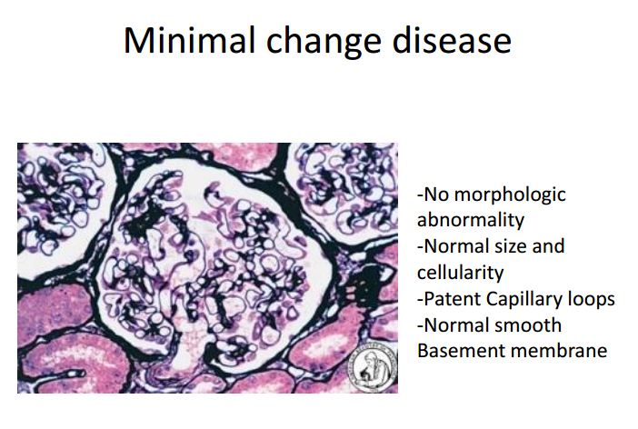 Tutor's Notes: general, cardiovascular, respiratory and renal ...