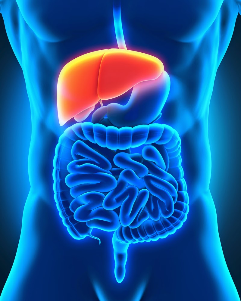 Ciri-Ciri Penyakit Liver Bengkak | Ciri - Ciri Penyakitmu