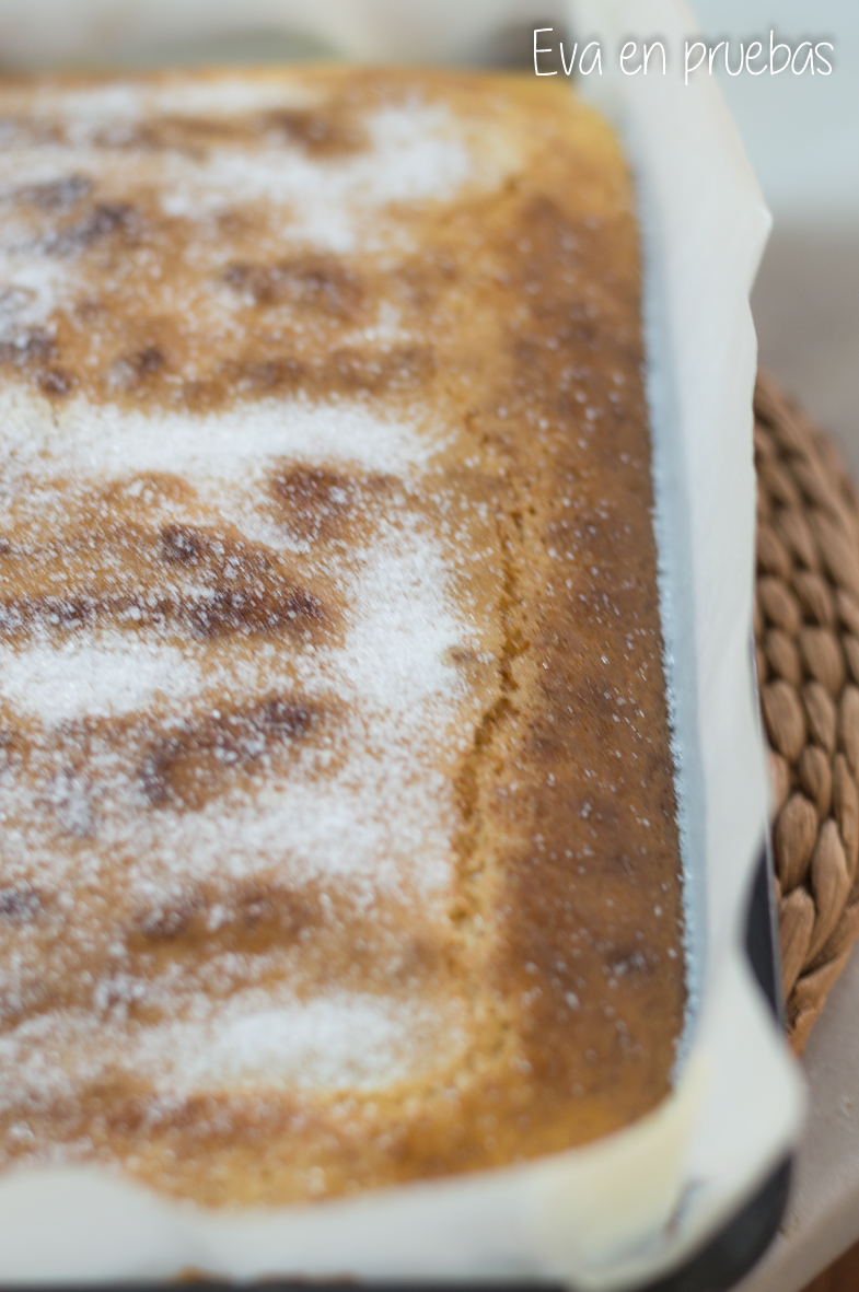 Coca Boba | Eva en pruebas