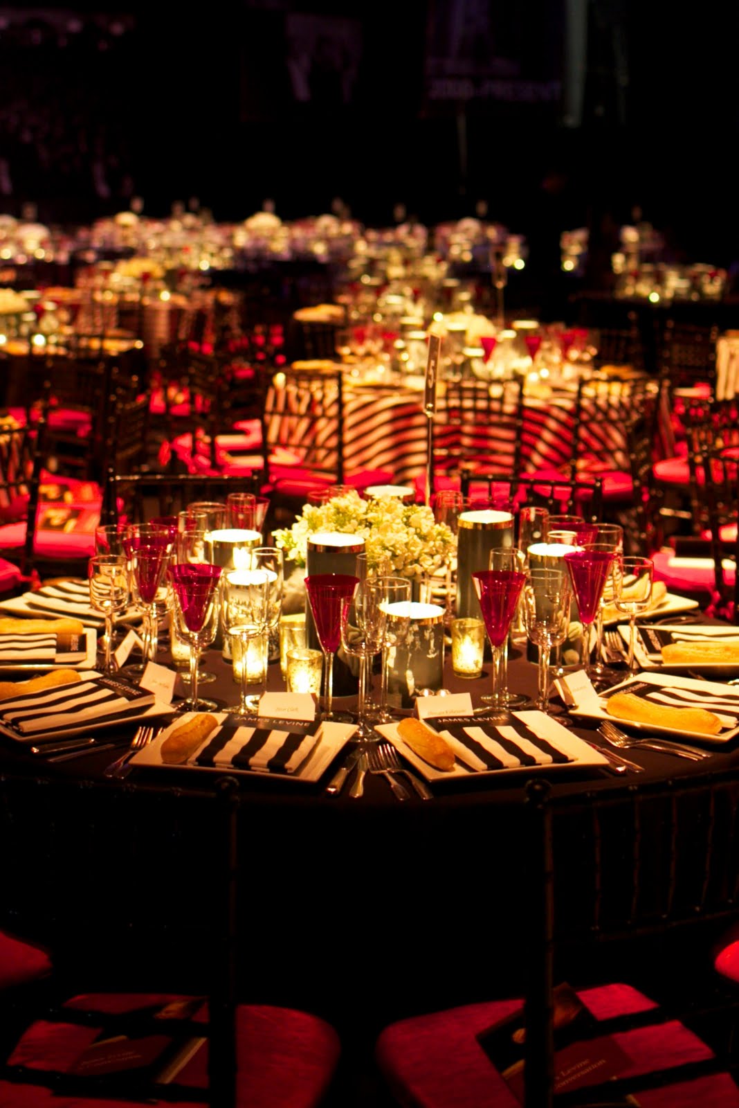 Julie Skarratt Photography Inc: The Metropolitan Opera Dinner on Stage ...