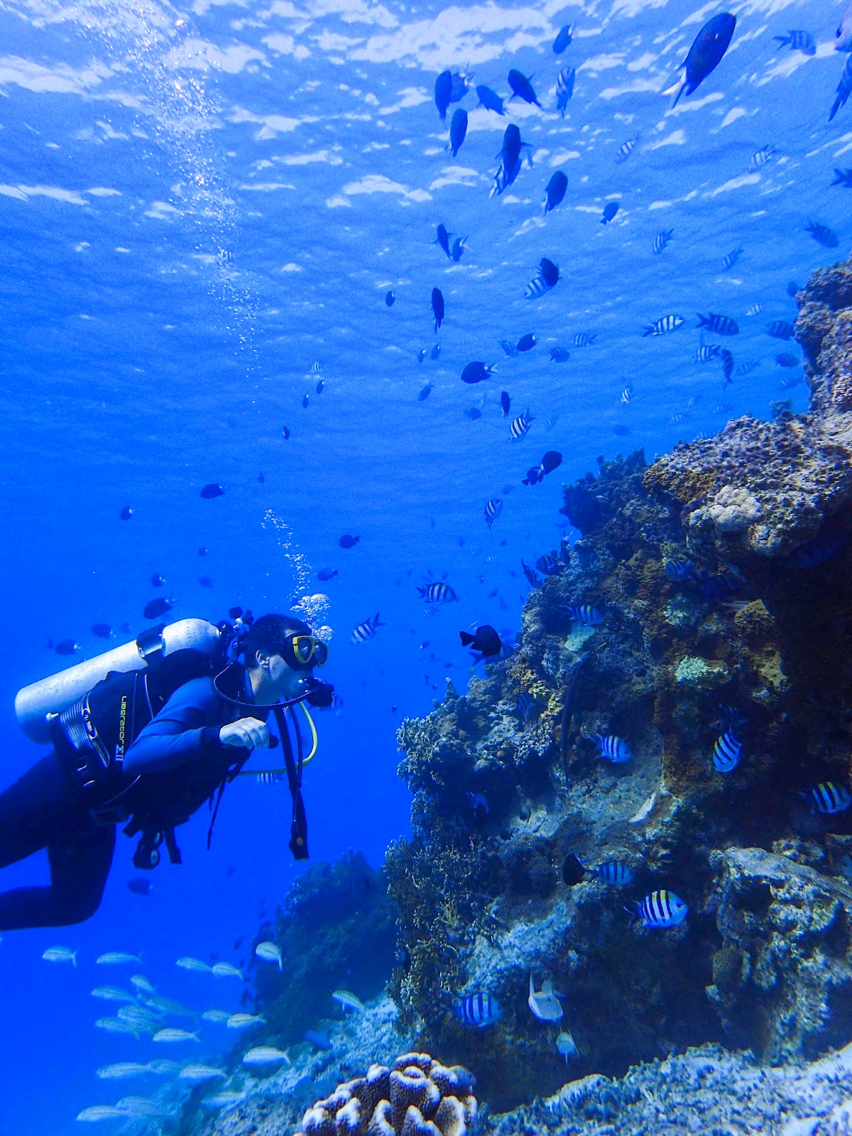 Travel, experience, shoot. LIVE: Japan in 30 days