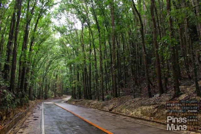 Visit Bohol 2015: Bohol Countryside Tour