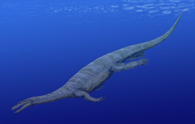 Nothosaurus