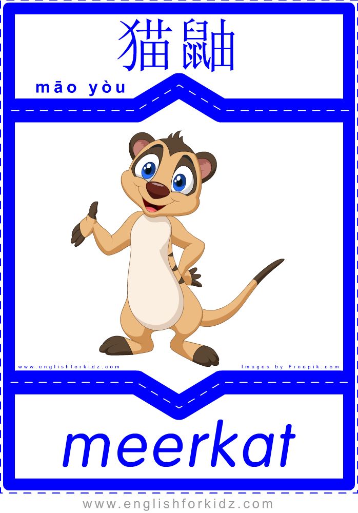 English-Chinese Flashcards: Wild Animals. Part 3.