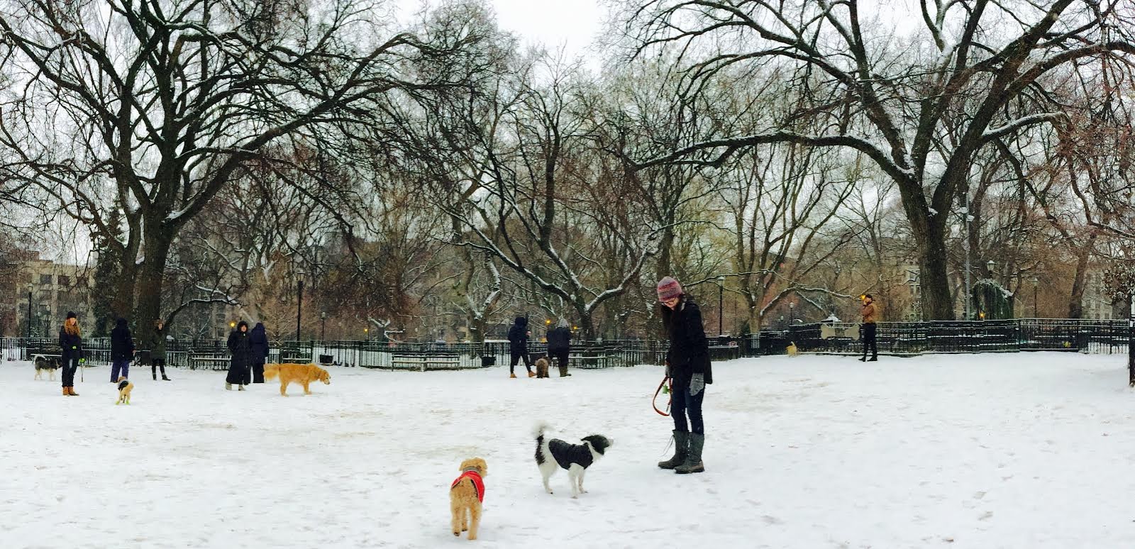 EV Grieve: Midday snow photo break