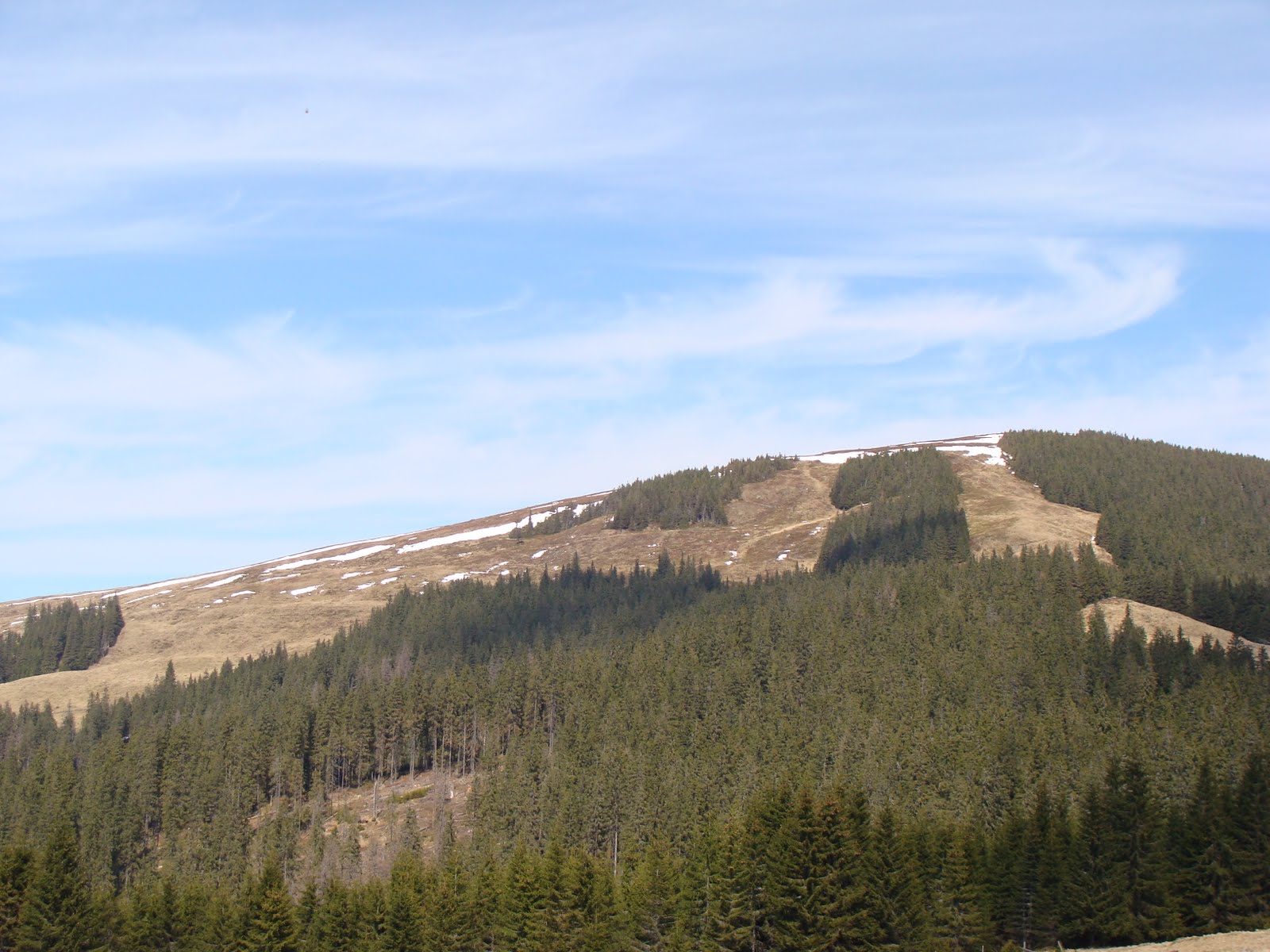 Carari de Bucovina: Valea Putnei, Poiana Sapelor, Vf. Alunu, Giumalau