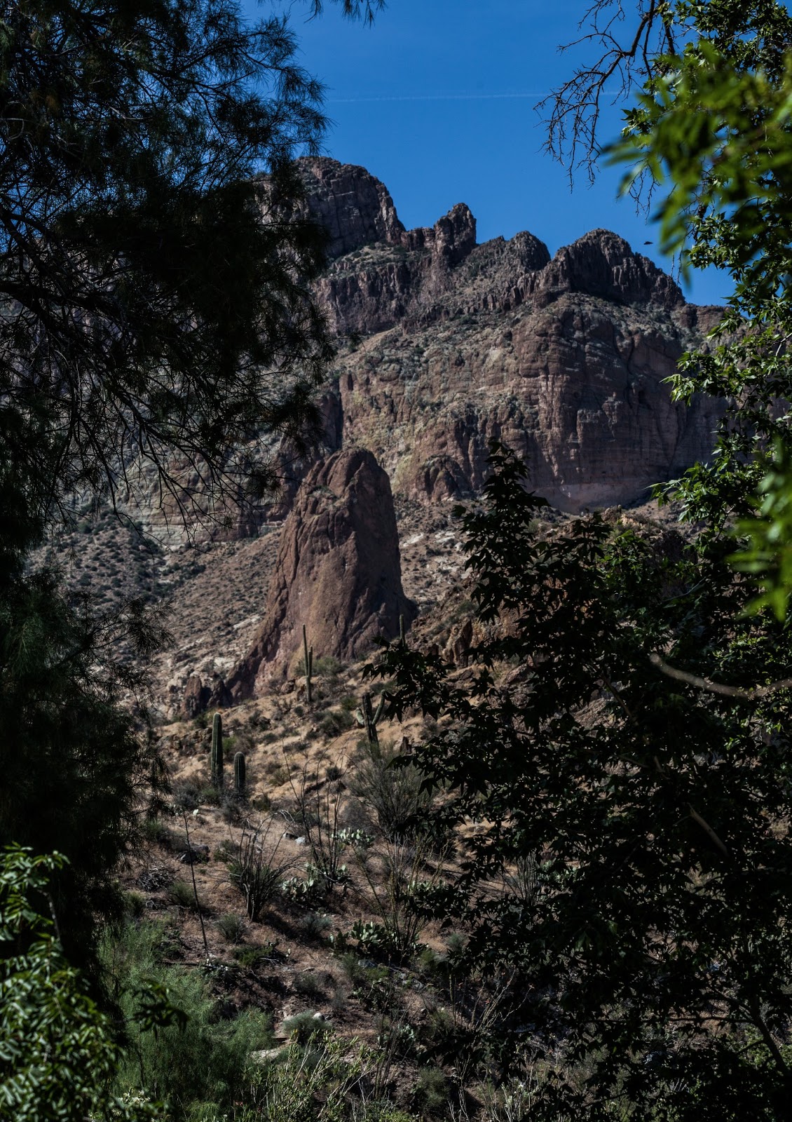 Walking Arizona: Volcanic Plugs