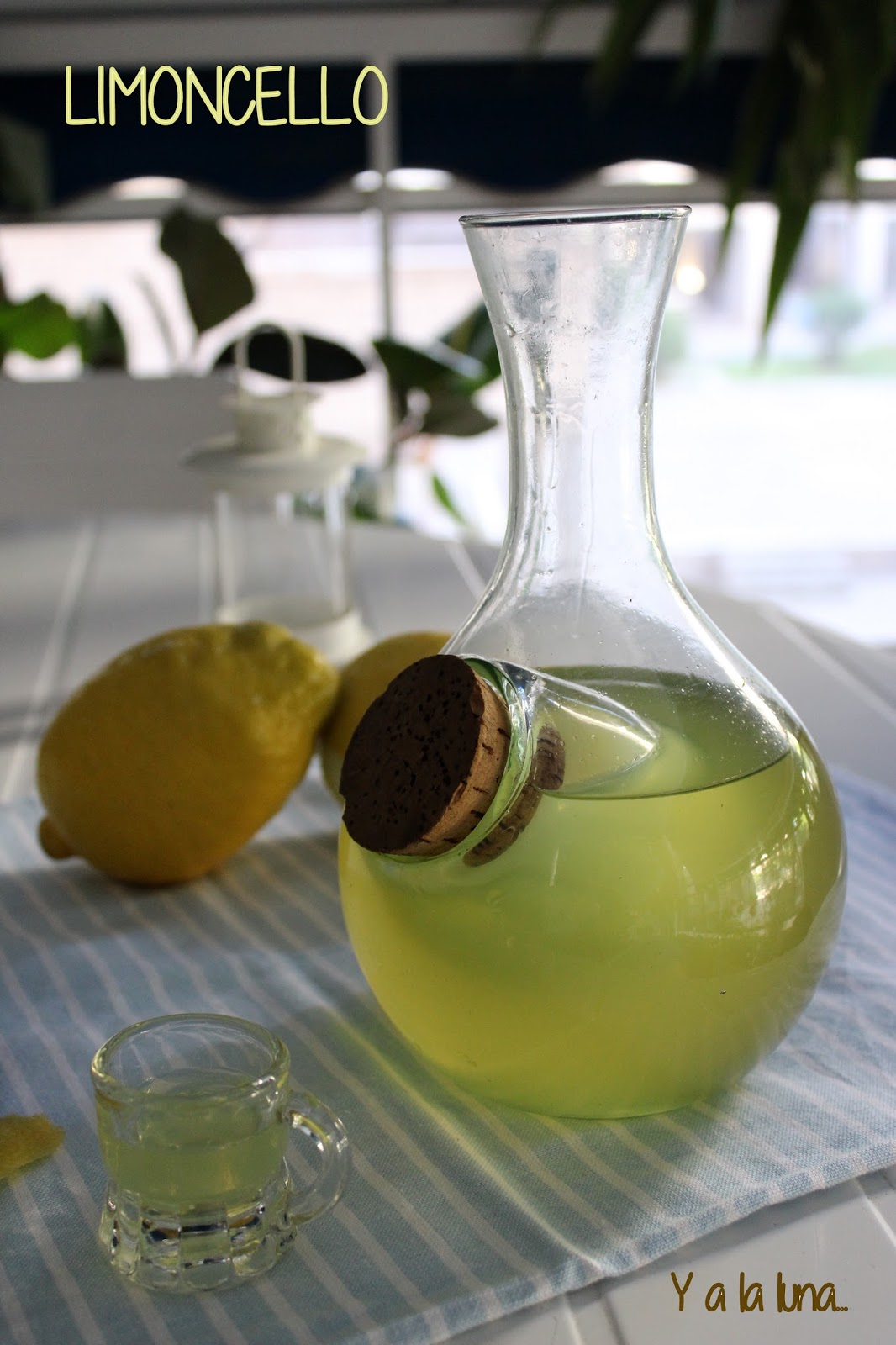 Y a la luna se le ve ve el ombligo...: Limoncello