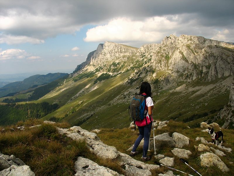 Pe drumul cel bun: Saua Strunga