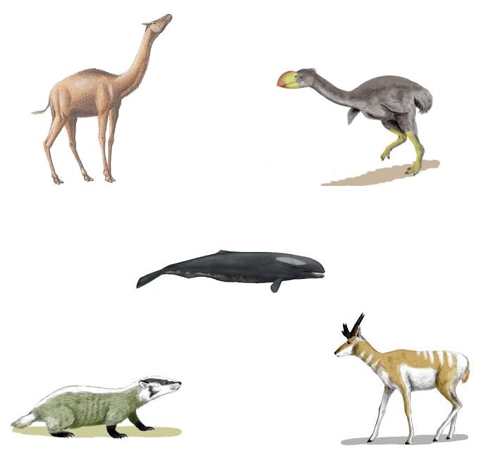 Mioceno ~ Historia geológica de la tierra con Arturo ANONYMOUS