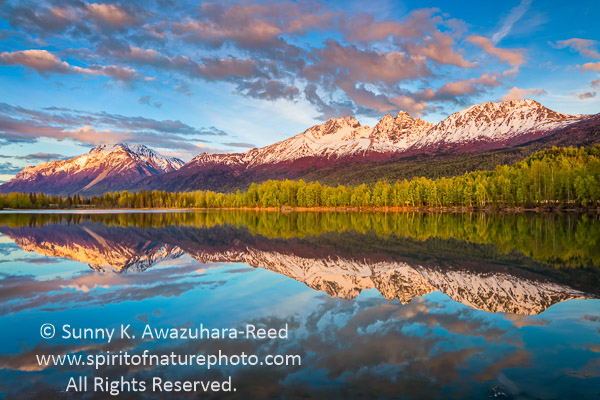 Sunny in Wilderness: Camera Test at Reflections Lake, Alaska