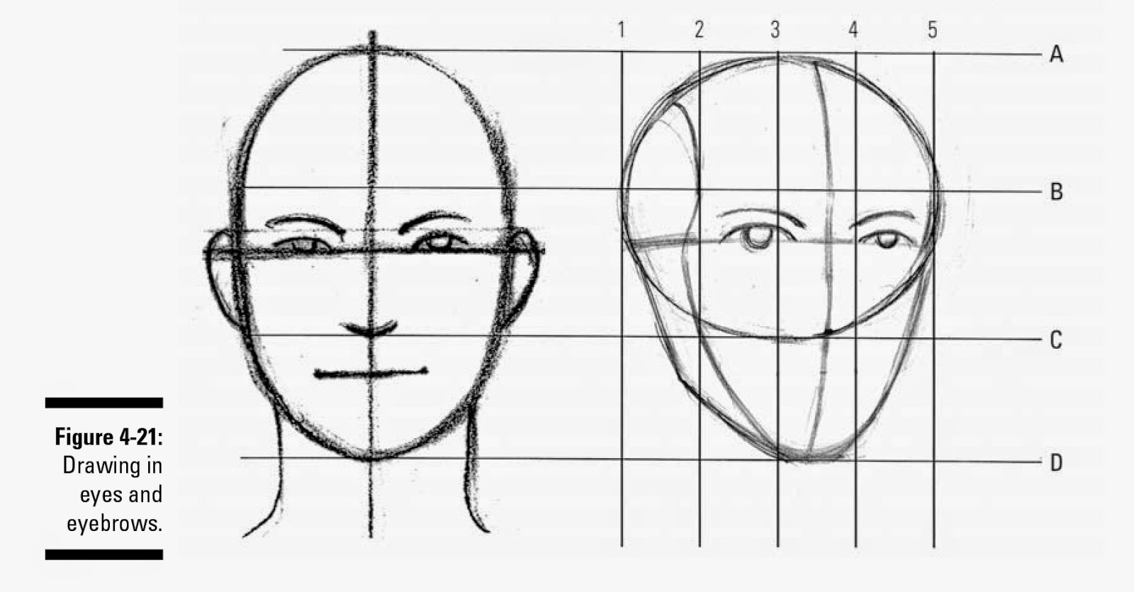 Drawings: Parts of the Head