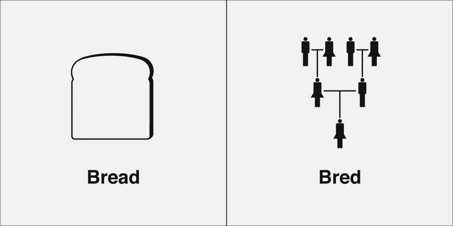 Homophones, Weakly: Bread & Bred