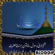 WELCOME TO APNA ISLAM 786: ISLAMIC BOOKS