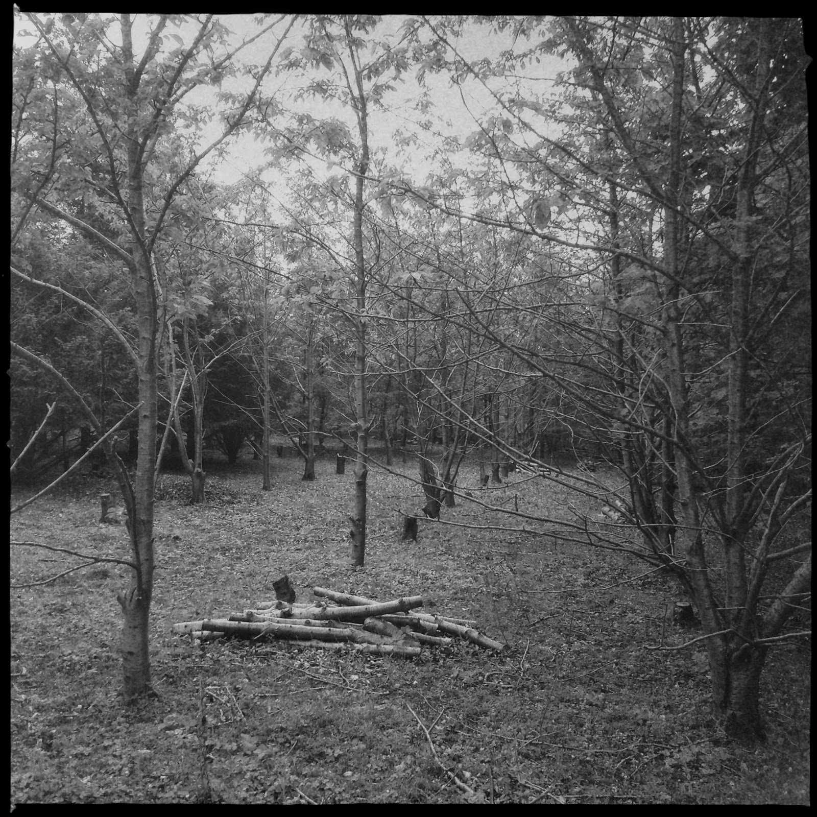 Henry Bugbee - an atheistic mysticism, free of mythical trappings