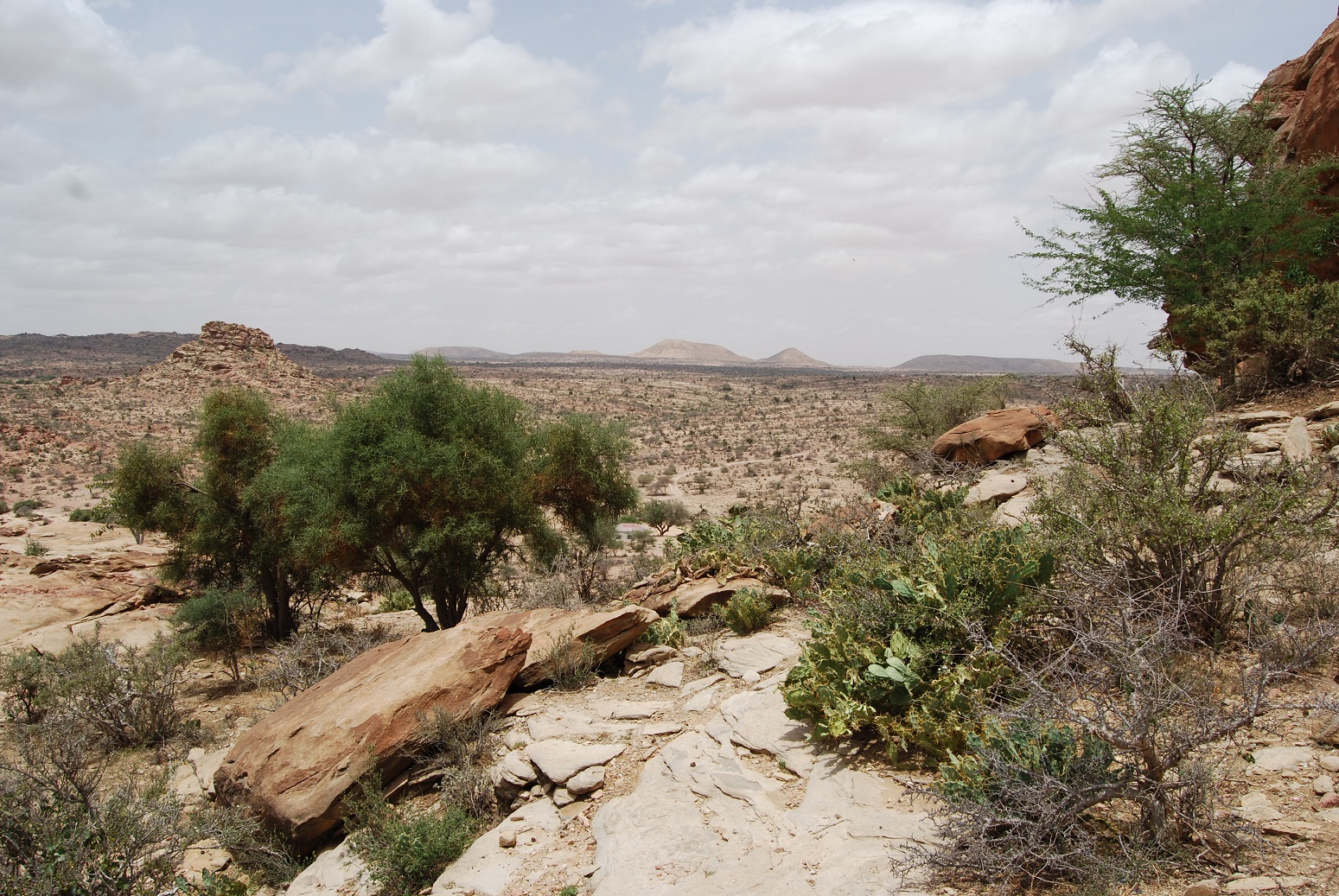 Visiting Somaliland: Laas Geel - The place where camels are watered