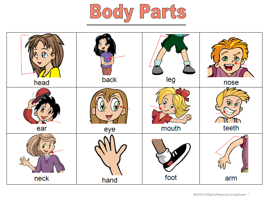 Teaching body parts: Las Partes del Cuerpo en Inglés