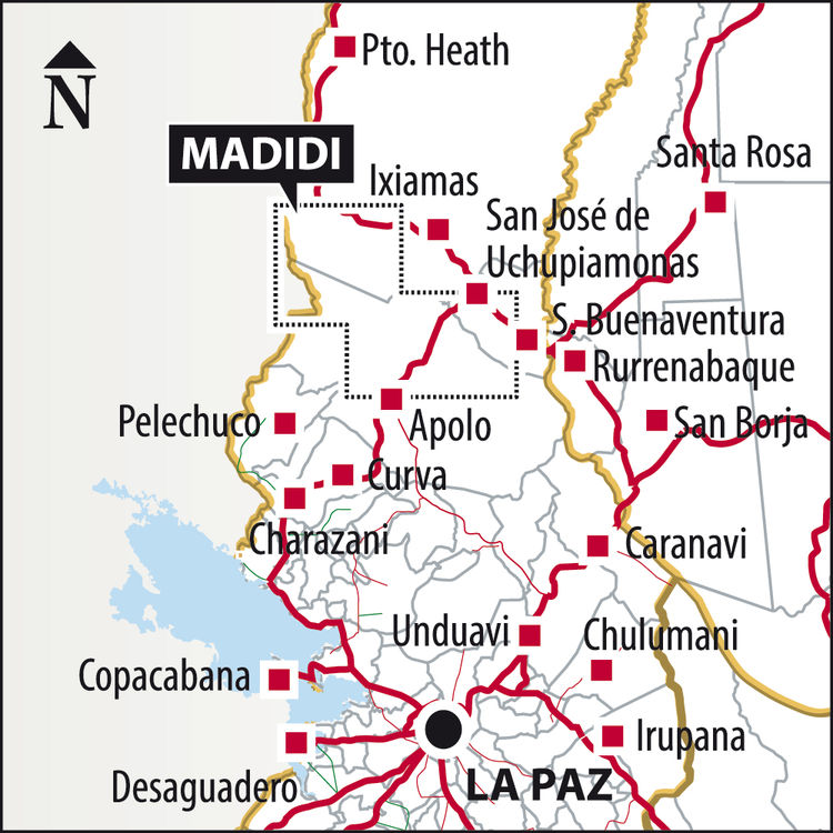 Expedición al Parque Nacional Madidi tras nuevas especies | Ecologia ...