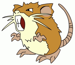 Pokémon: Raticate