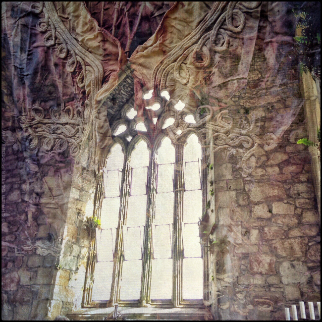 The window as a metaphor ~ Sweetpea Path