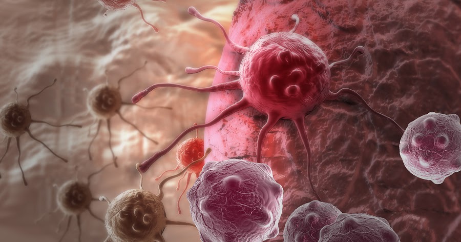 Vivere in modo naturale: Il virus del morbillo sconfigge il cancro. Ma ... Vivere in modo naturale: Il virus del morbillo sconfigge il cancro. Ma ...