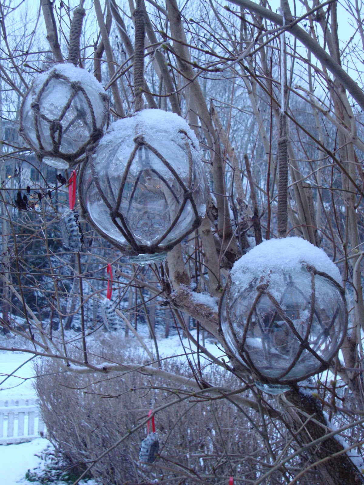 Frostrosor: BILDINLÄGG med förberedelser, julmys och en hälsning!