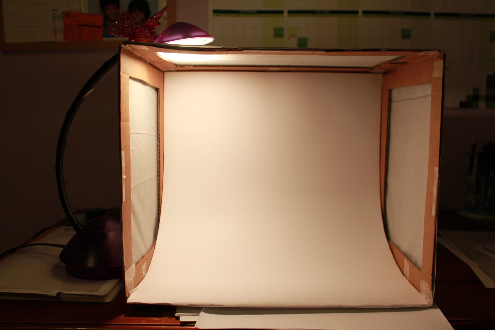 Day 28/365 Shell path | moyca photography