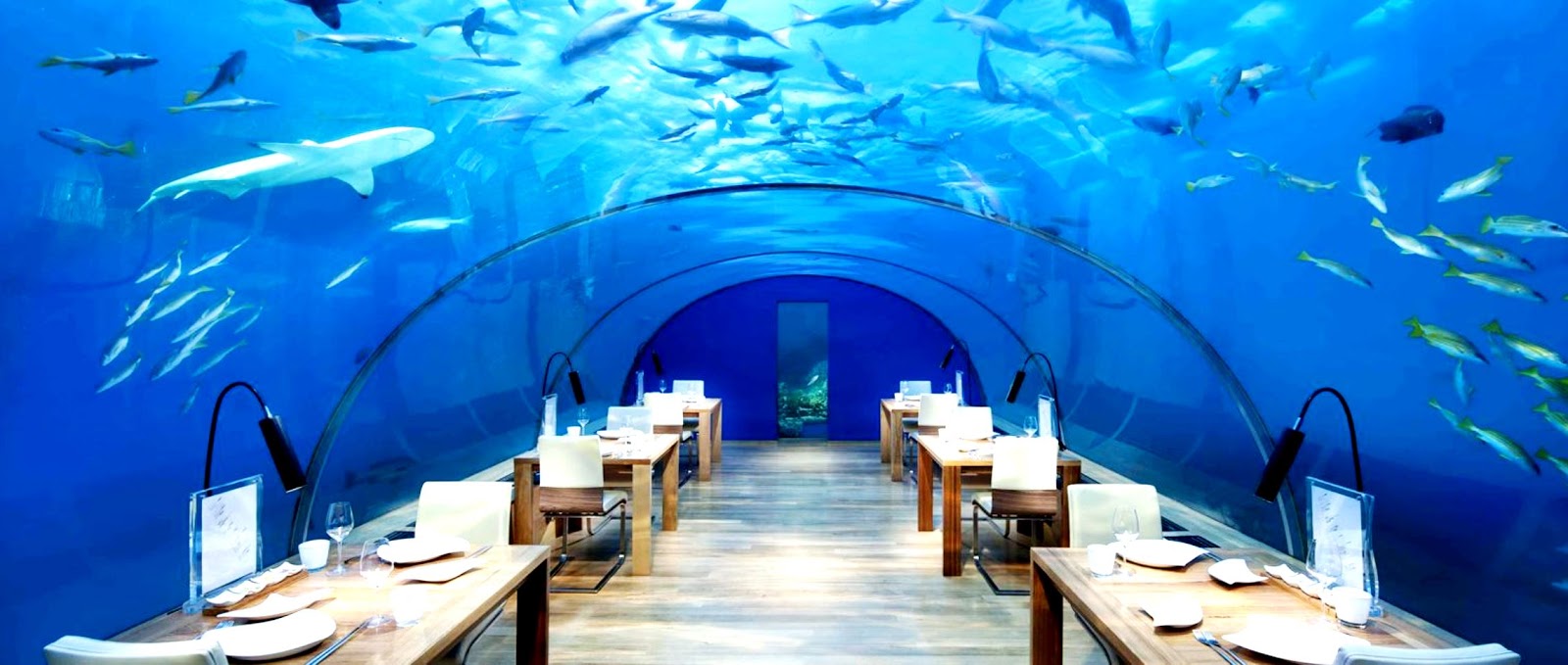 Ithaa, la experiencia de comer bajo el océano