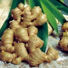 Natural food and good health: Shunti(Ginger) tambuli
