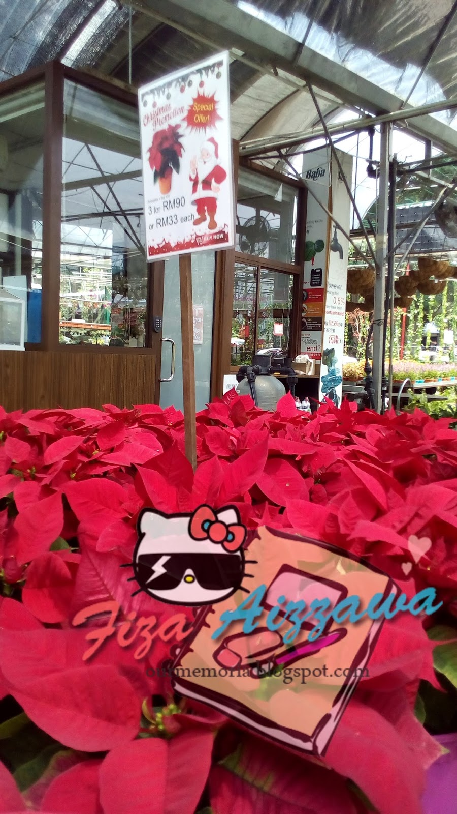 Pelbagai Bunga hiasan dan pokok hiasan di Nurseri Bunga, Sg. Buloh