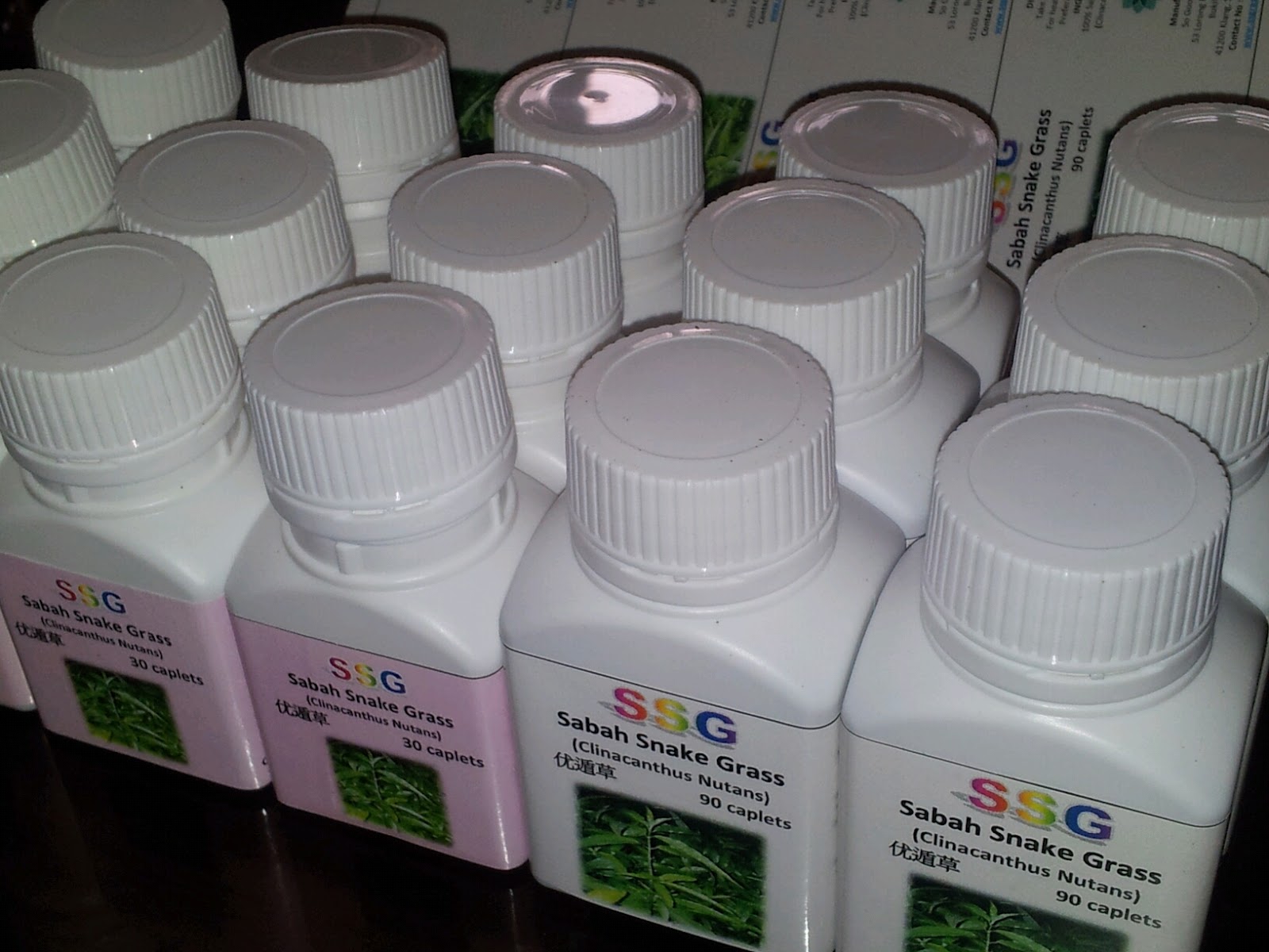 Sabah Snake Grass SSG