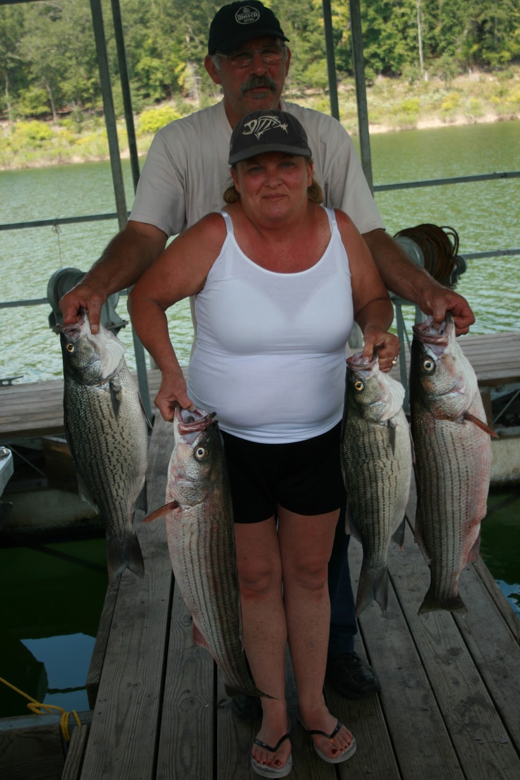 Hummingbird Hideaway Resort on Norfork Lake: Norfork Lake Fishing Report