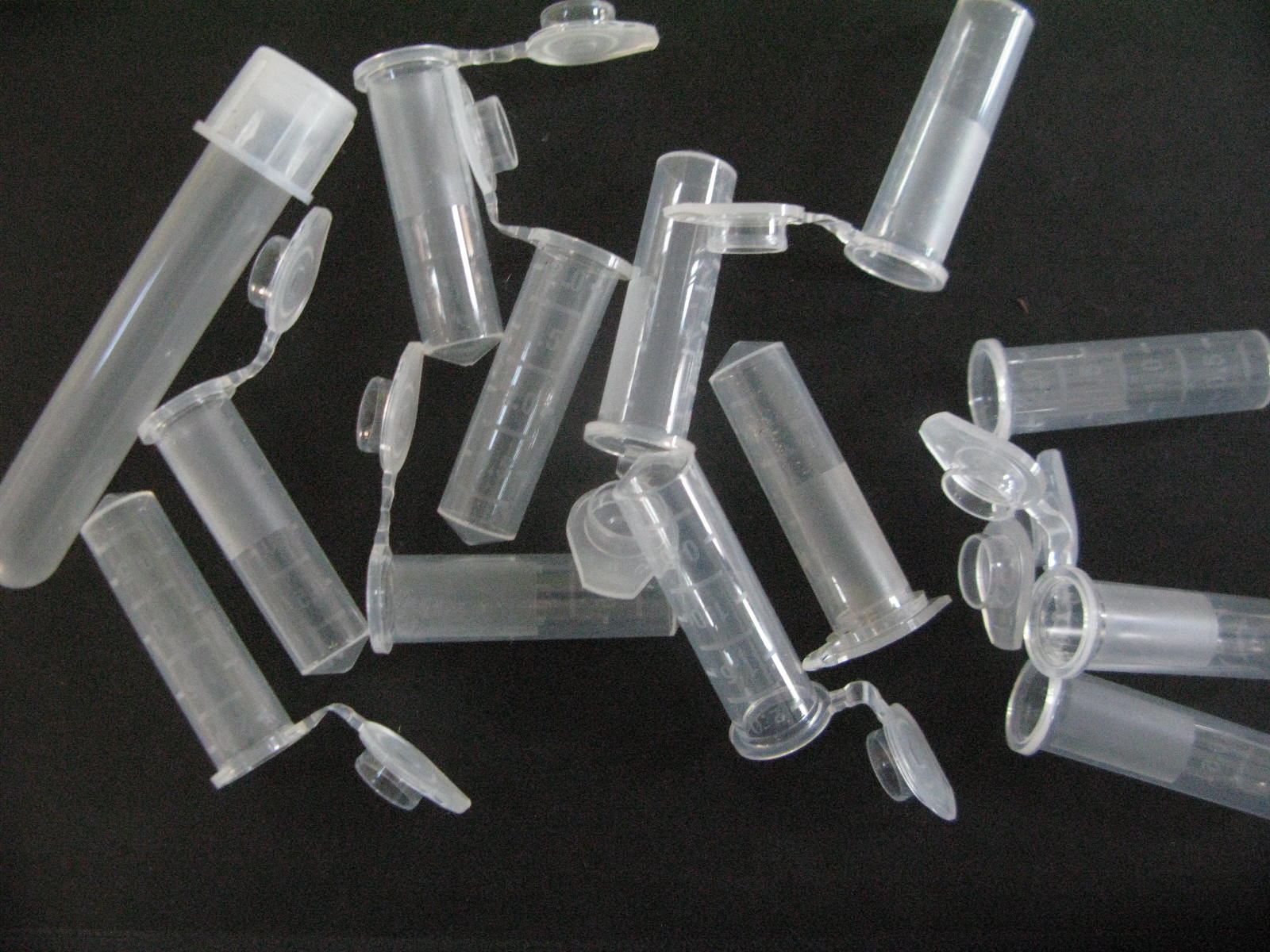 Bluebird Meadows: Flower Crack