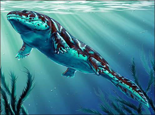 Blog de la Vida Prehistórica: Los Primeros Tetrápodos