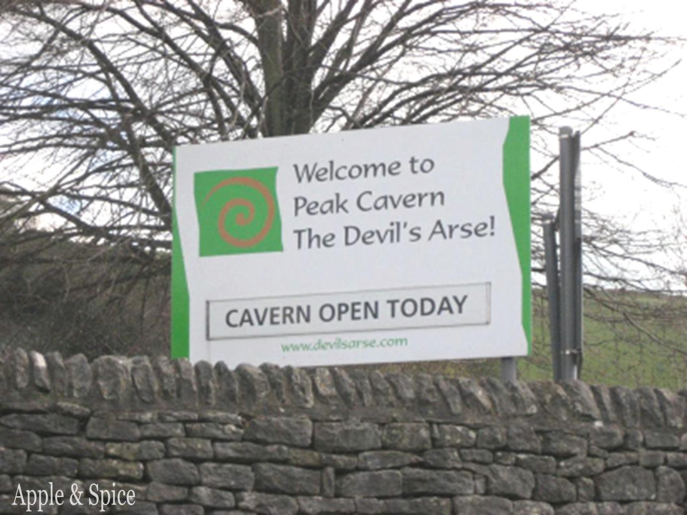 Apple & Spice: My First Dosa at East & West Restaurant, Sheffield and a ...