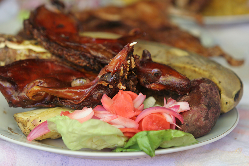 Manjares Cotopaxenses: Ají de Cuy (Runaucho)