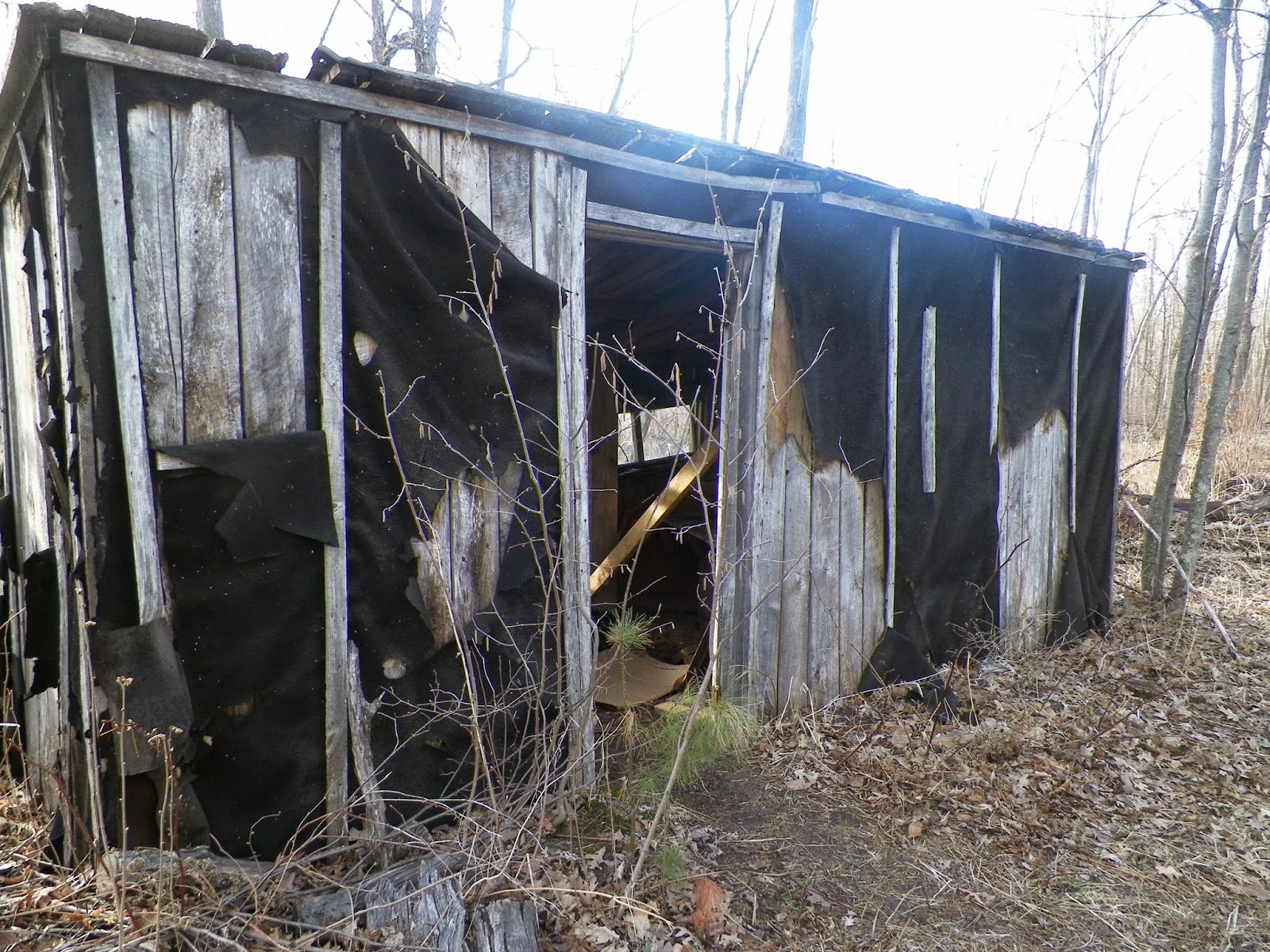 Abandoned Abodes: Hunting Cabin?
