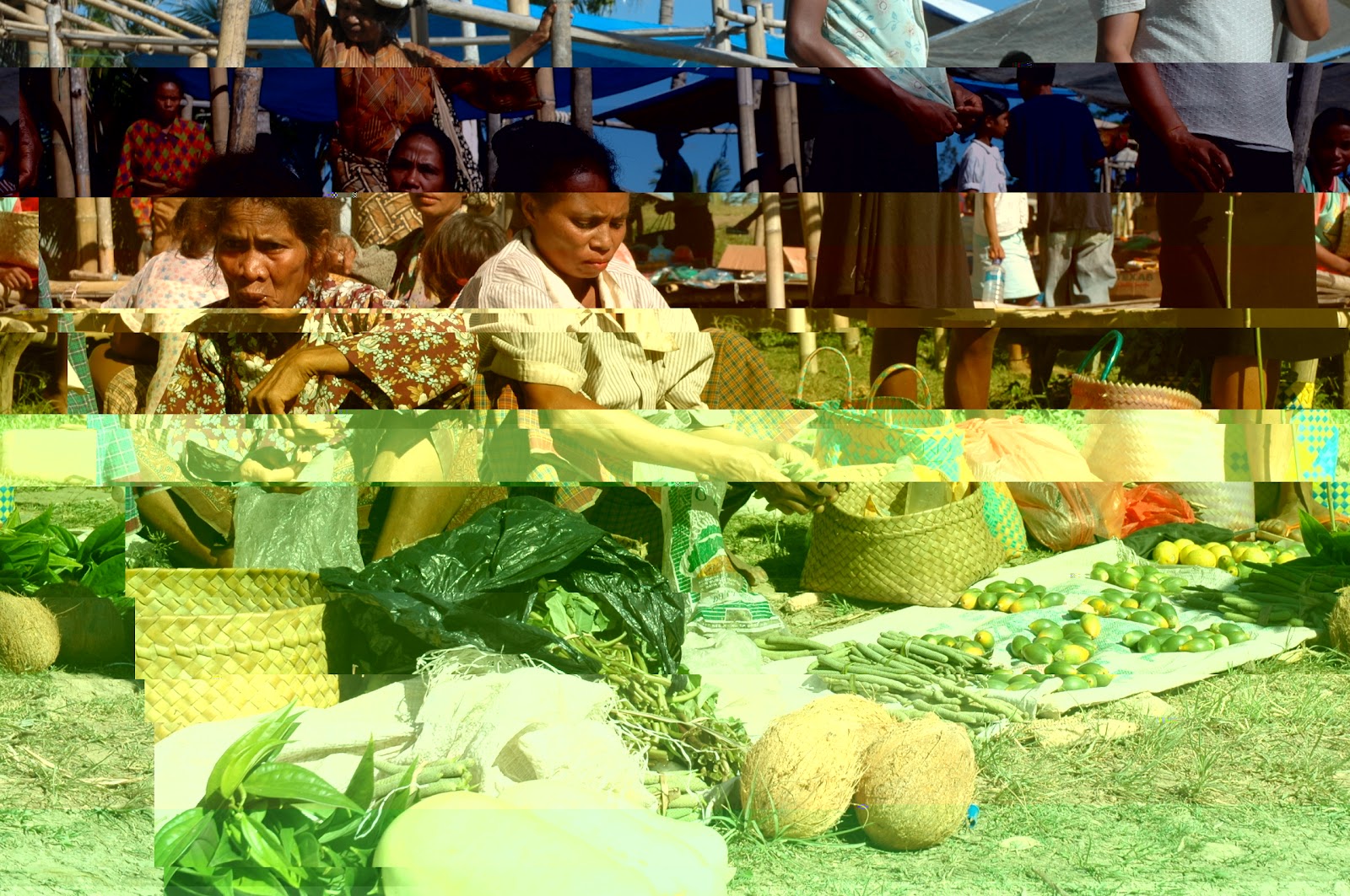 Penyelesuruan Arsitektur Timor Leste: proses membangun rumah adat Timor ...