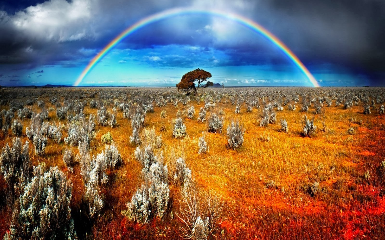 Andy foto natura: Animales y paisajes